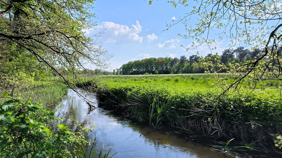 Newsletter Jeshua.net – May 2023 | The Jeshua Channelings